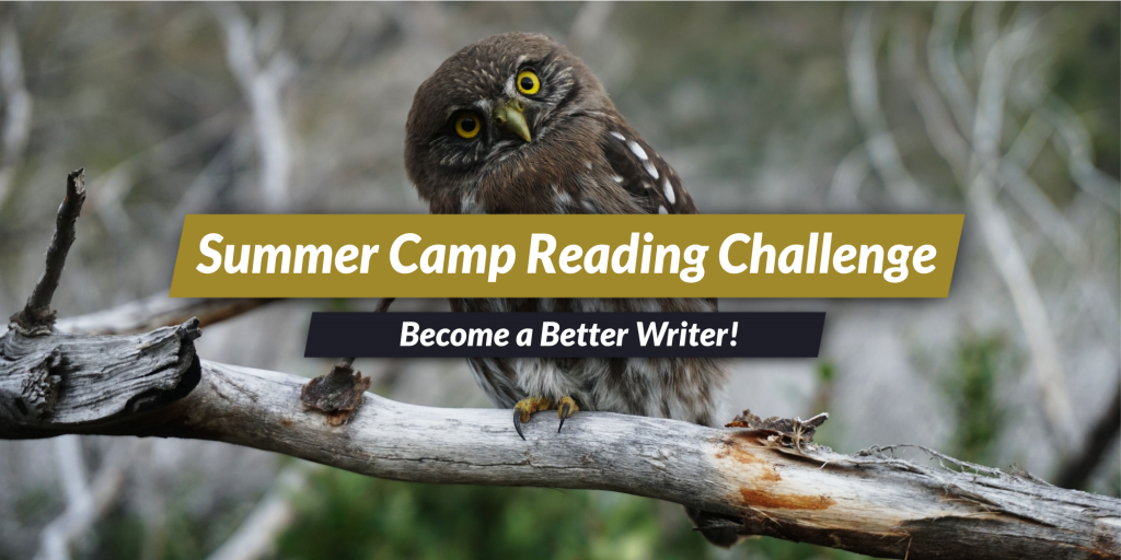 Summer Camp 2022 Reading Challenge: Improve Your Writing! | World Anvil ...